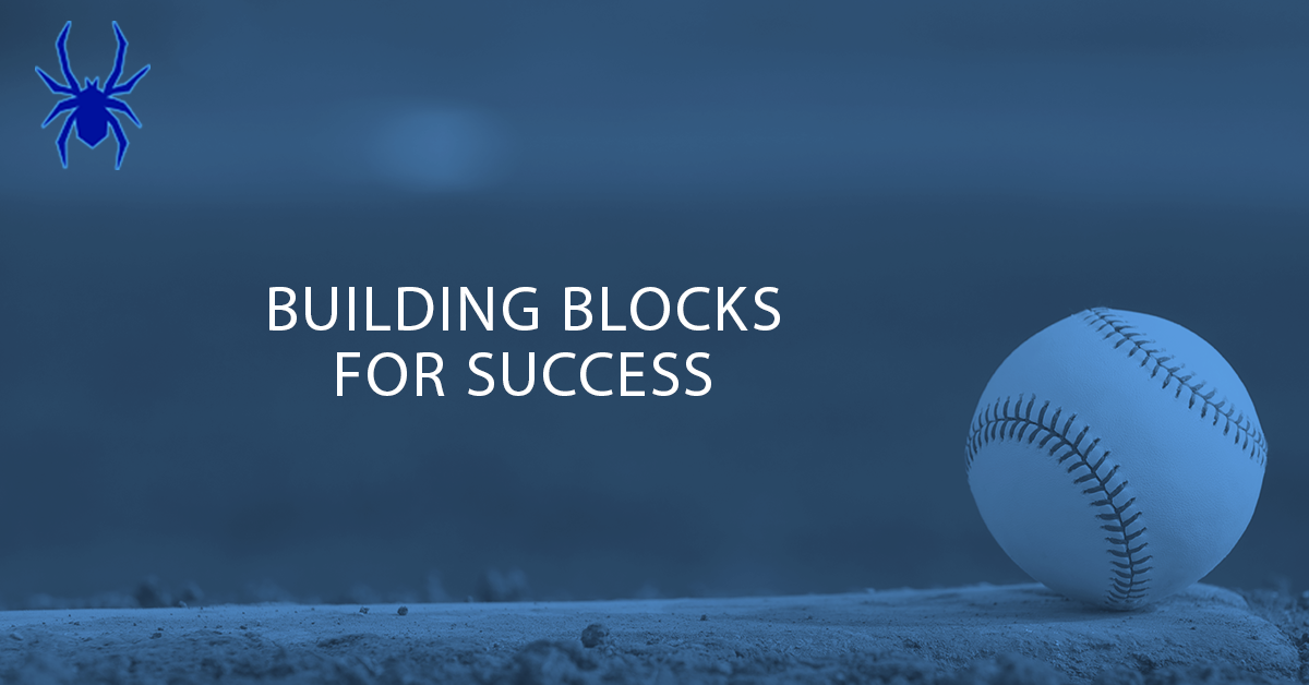 building-blocks-for-success - Spiders Elite building-blocks-for-success - Spiders Elite